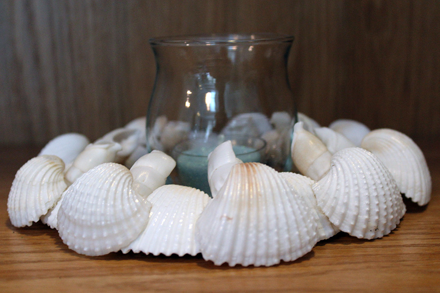 Shell Candle Ring - Sea Treasure by Patrice