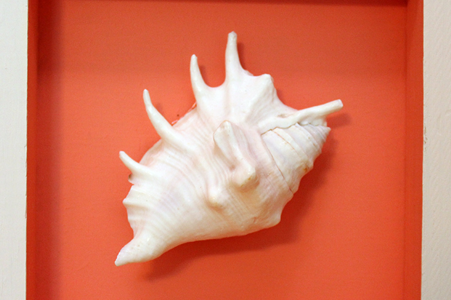 Shell Wall Collage - Sea Treasure by Patrice