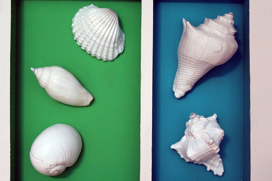 Shell Wall Collage - Sea Treasure by Patrice