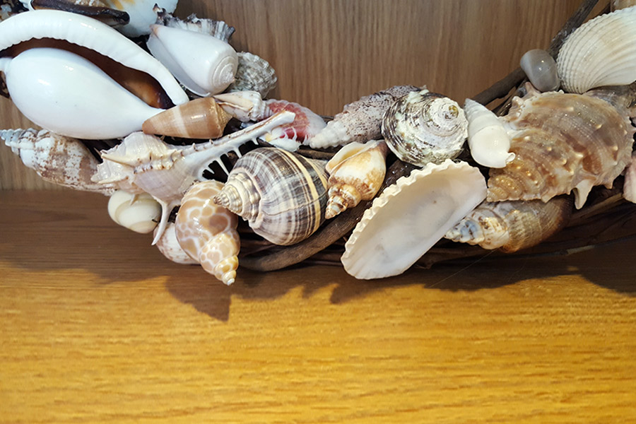 Shell Wreath - Sea Treasure by Patrice