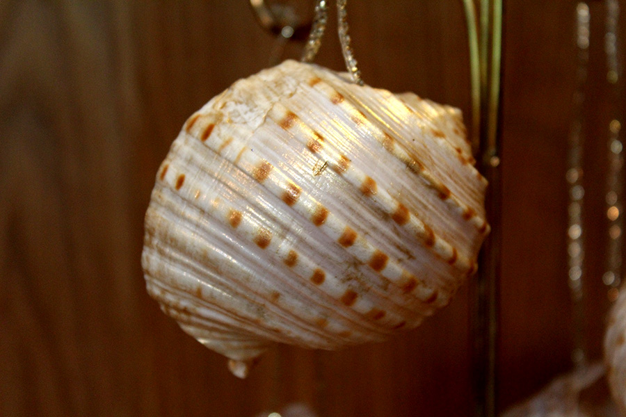 Shimmer Shell Ornament - Sea Treasure by Patrice