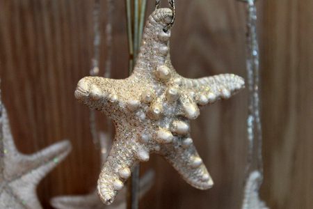 Shell Wreath - Sea Treasure by Patrice